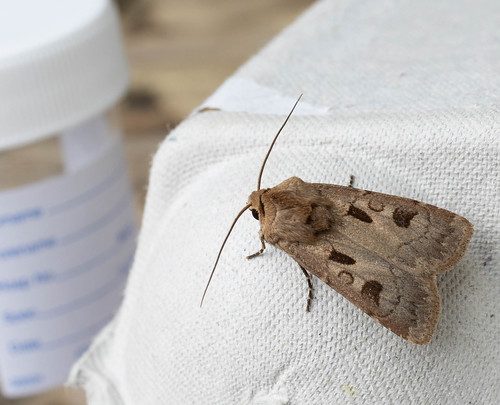 Mites textiles : quelles sont les étapes de traitement pour en finir ...